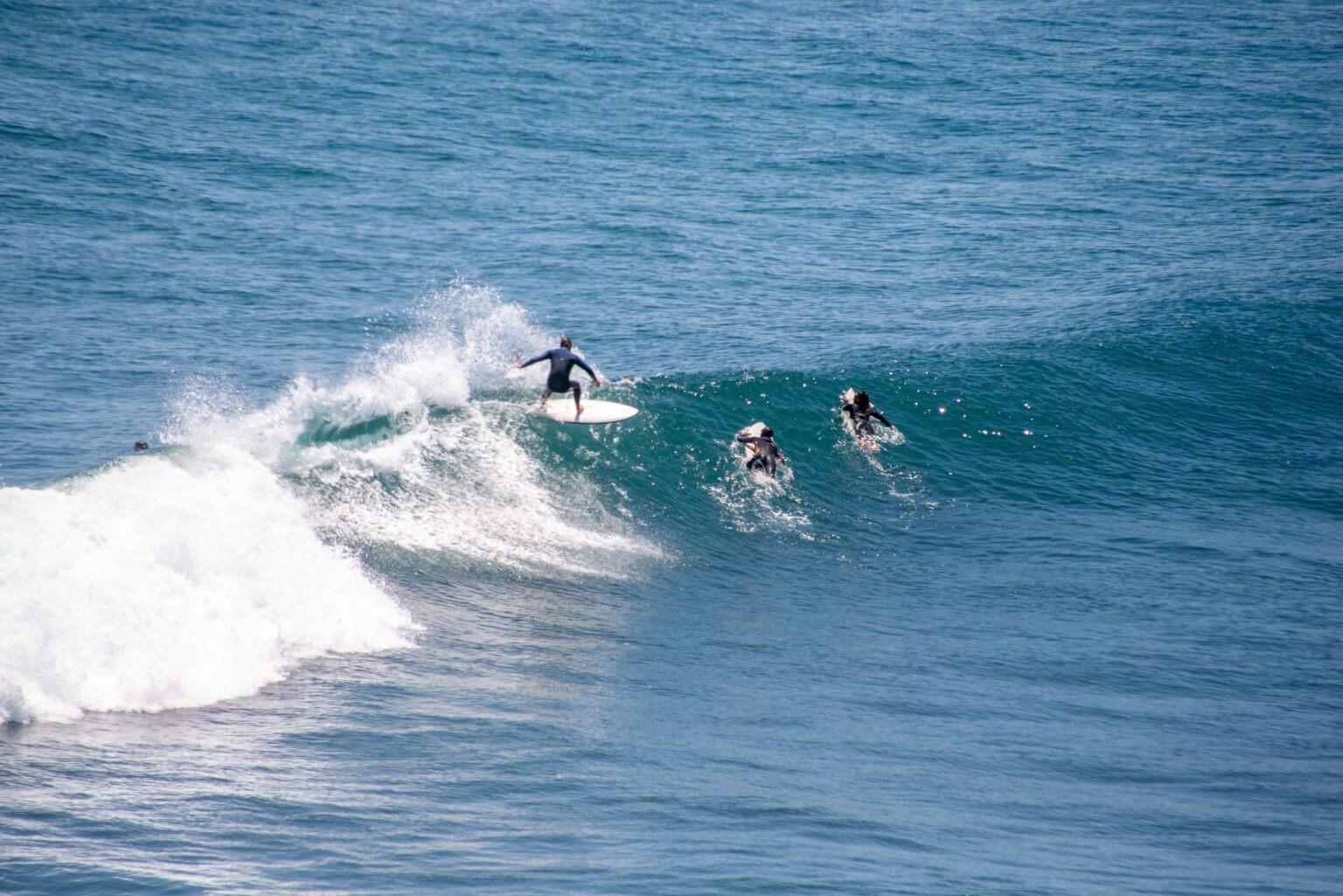 Playa Punta de Lobos | 5 cosas que debes saber al visitarla